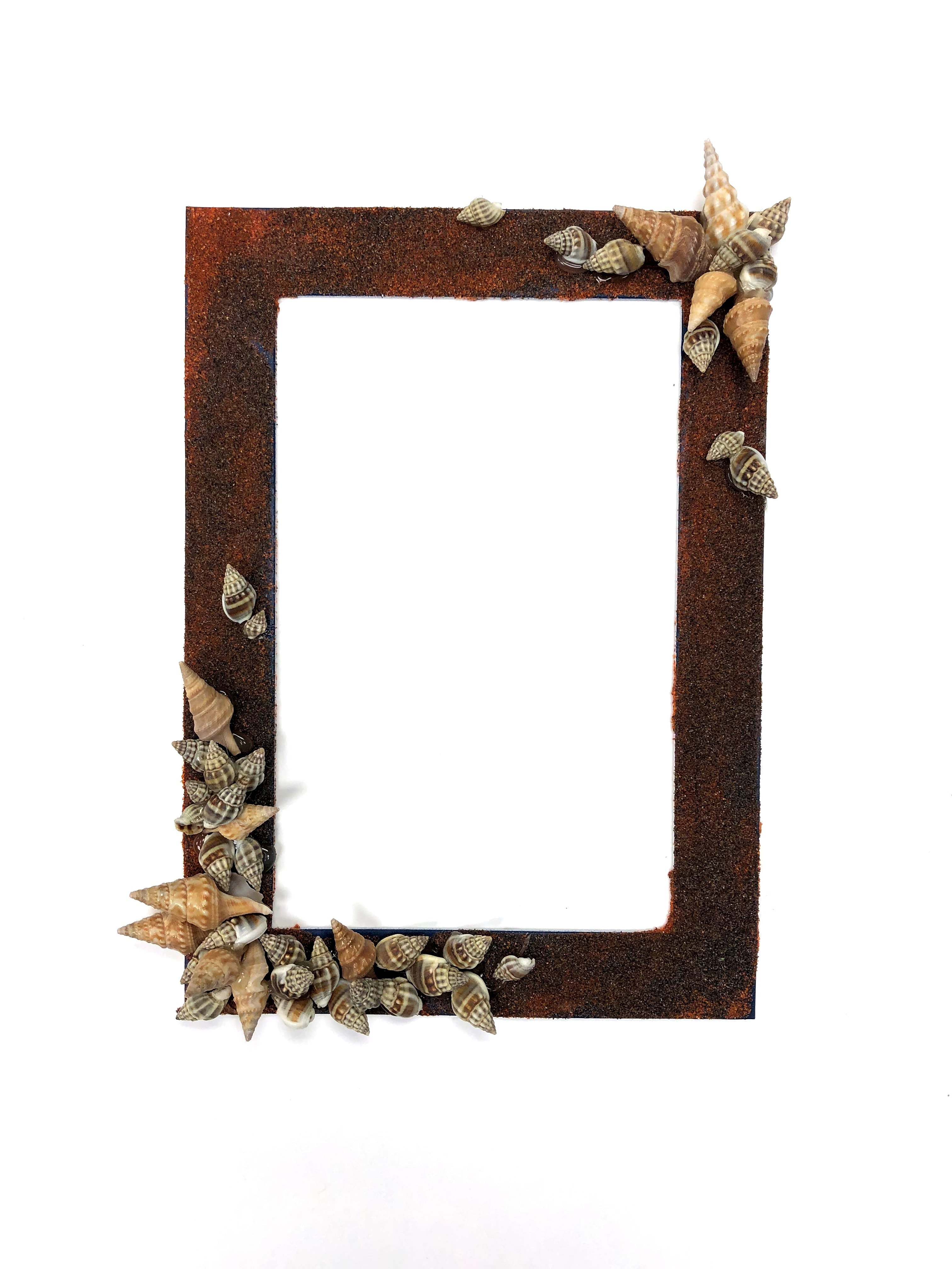 Sea Shell Frame - J&J Crafts